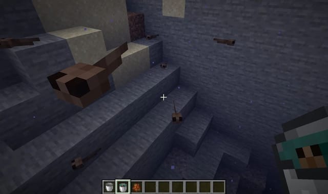 How to Find Frogspawn in Minecraft?