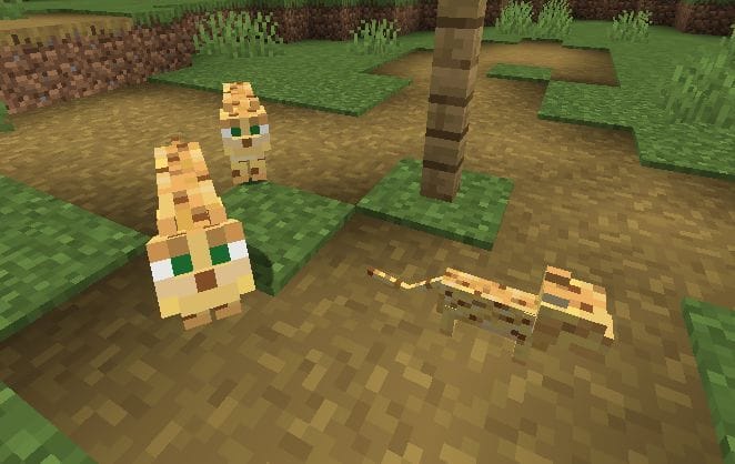 Minecraft Ocelots Wiki - Behavior, Spawn, Breeding, Trivia, FAQs