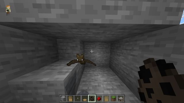 Bats in Minecraft