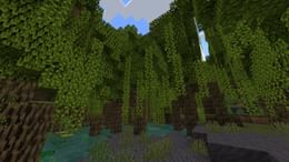 How To Plant Mangrove Trees In Minecraft 1 19