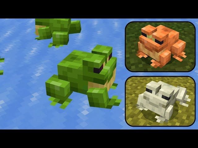 Where will frogs spawn in Minecraft 1.19 The Wild Update?