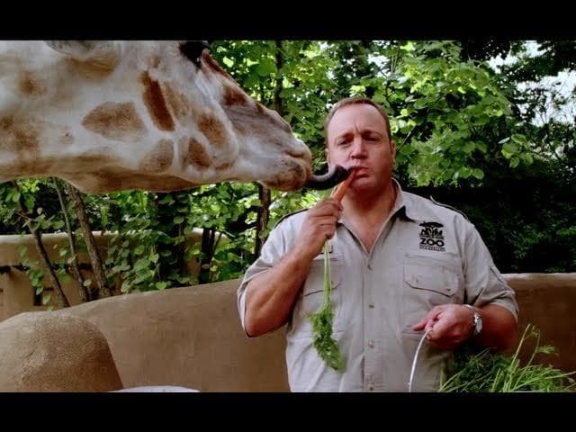 Joe Rogan's TV career: Which shows did he appear on?