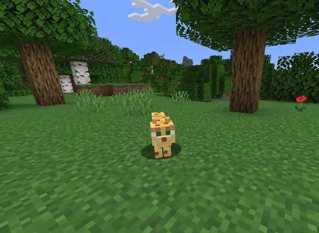 Minecraft Ocelots Wiki - Behavior, Spawn, Breeding, Trivia, FAQs