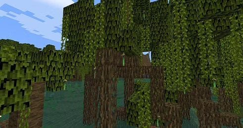 Where to find Mangrove Swamps in Minecraft?