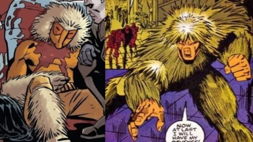 Who is Marvel's Porcupine? Comic origin explored ahead of rumored ...