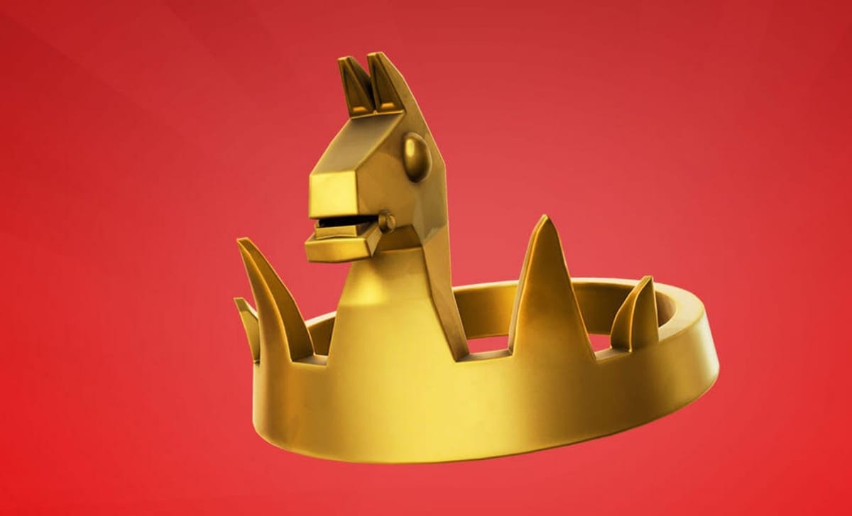 Fortnite player gets a real-life victory crown on his birthday