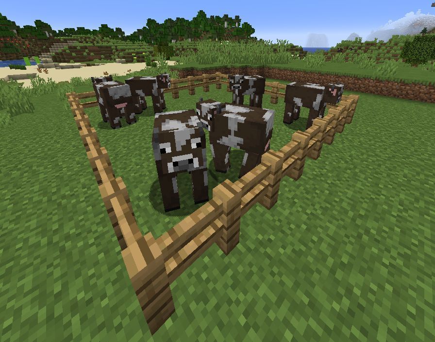 Minecraft Cows Wiki - Behavior, Spawn, Breeding, Trivia, FAQs