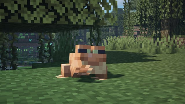Where to find all three types of Frogs in Minecraft 1.19?