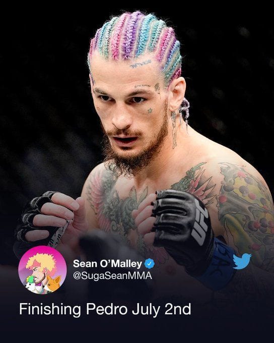 5 talking points going into UFC 276