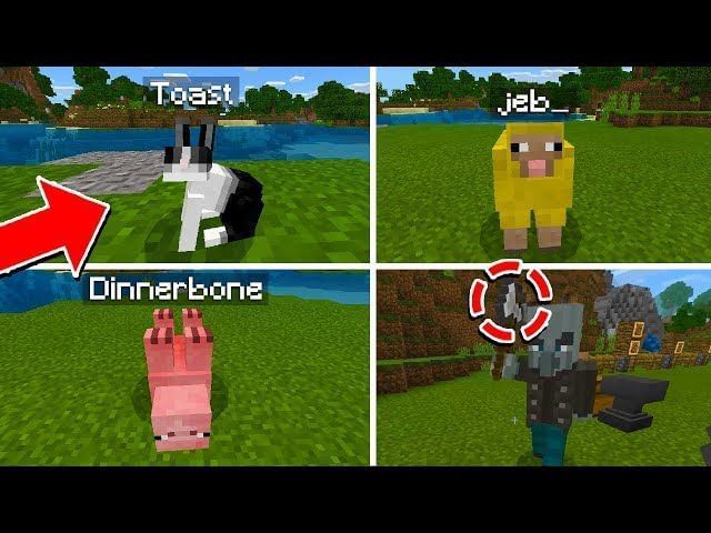 All name tag Easter eggs in Minecraft (2022)