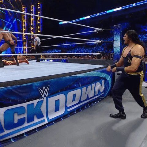 Wwe Smackdown Ring 2022