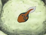Summoning Jutsu