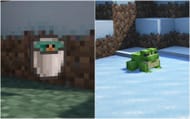 Where to find tadpoles in Minecraft 1.19 update