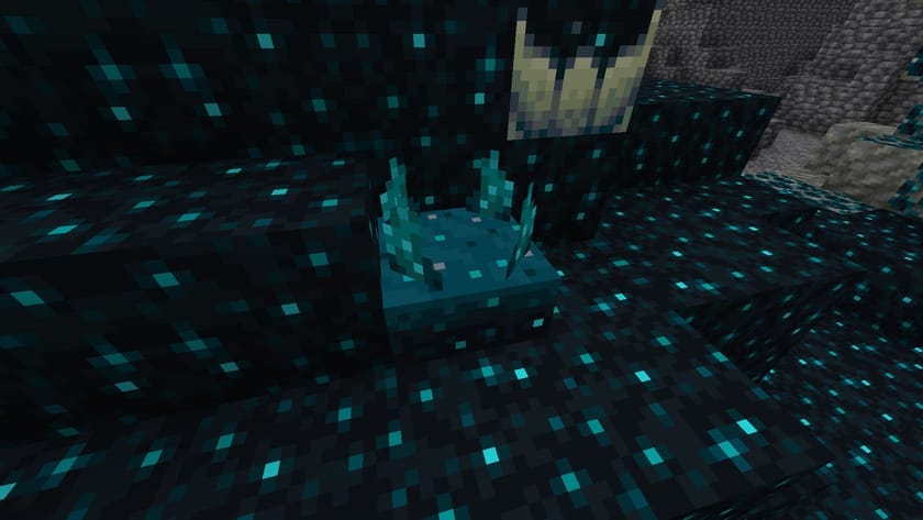 How to block and deactivate sculk sensors in Minecraft 1.19