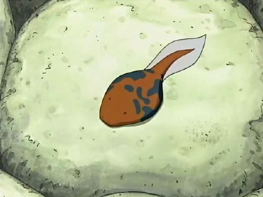 Naruto’s Summoning Jutsu