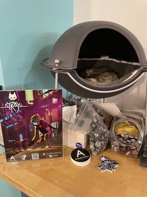 Meet Lala, the voice actor behind the feline protagonist in Stray