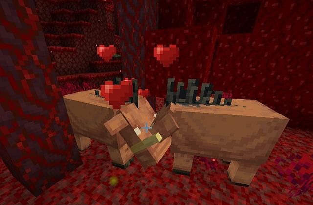 Hoglin In Minecraft Behavior Spawning How To Breed Uses