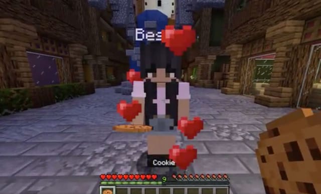 Minecraft Redditor codes a friend in-game to make their world less lonely