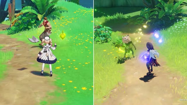 Genshin Impact reveals new Dendro elemental reactions and Sumeru ...