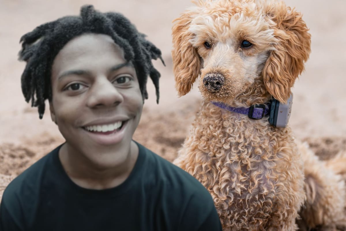 IShowSpeed Hilareously Locks Himself In A Dog Cage IShowSpeed Hilareously Locks Himself In A Dog Cage