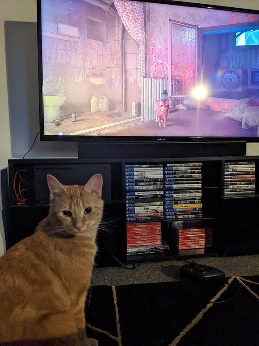 Meet Lala, the voice actor behind the feline protagonist in Stray