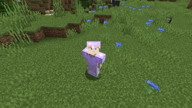 The highest level of Protection in Minecraft 1.19 update