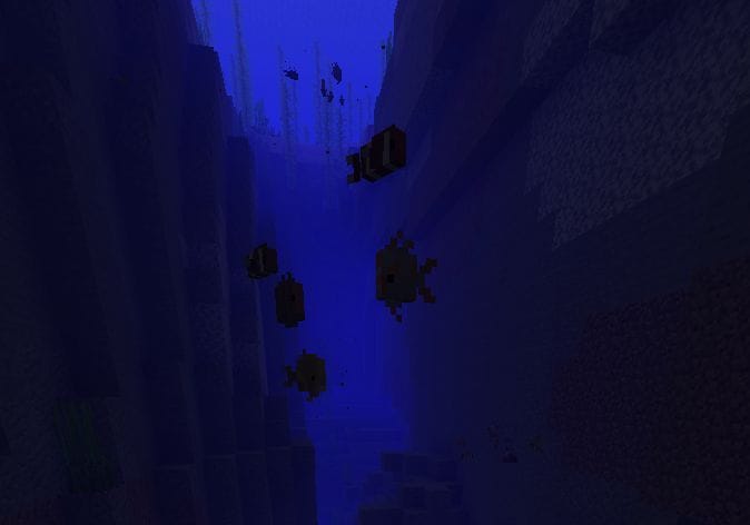 Tropical Fish in Minecraft: Behavior, Spawning & Drops