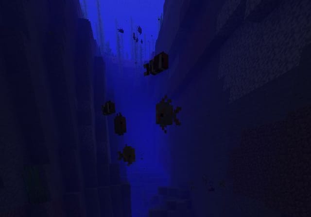 Tropical Fish in Minecraft: Behavior, Spawning & Drops