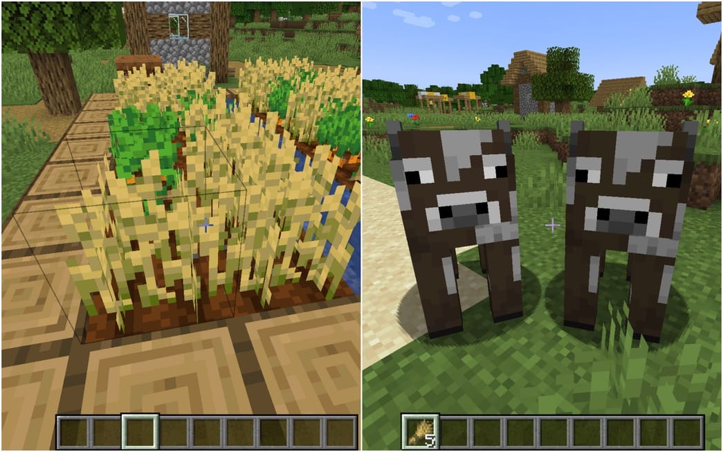 How to breed cows in Minecraft 1.19