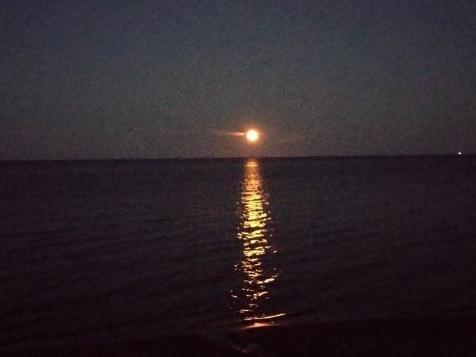 Why is the moon so big tonight? Reason explored as Super Buck Moon ...
