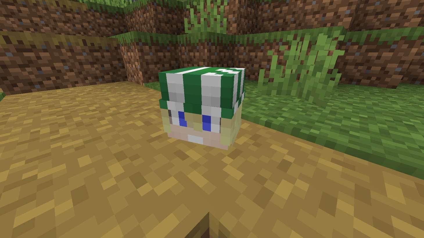 How to get player heads in Minecraft 1.19 update