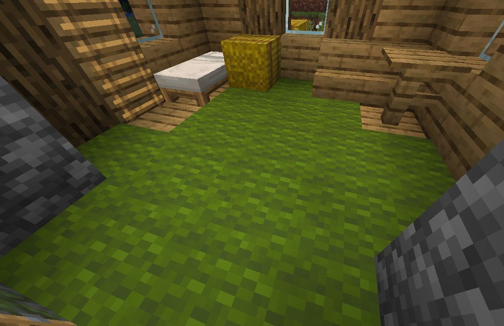 Carpet in Minecraft