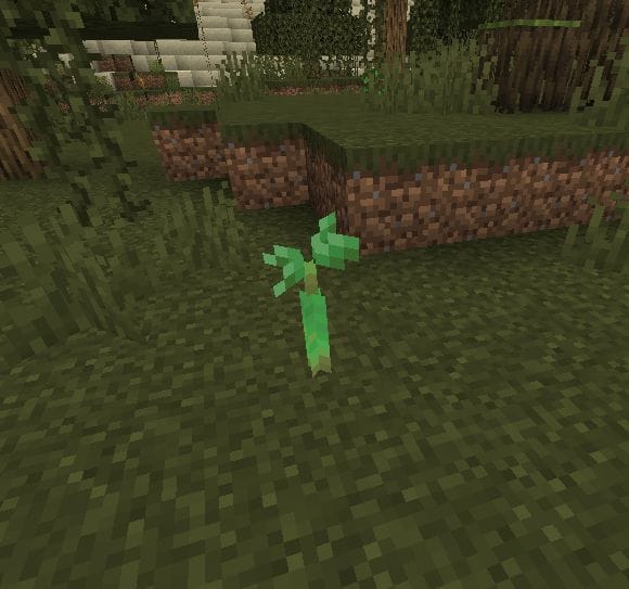Mangrove Trees In Minecraft