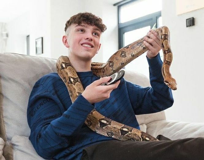 Morgz's Profile, Net Worth, Age, Height, Relationships, FAQs