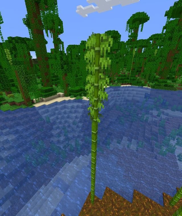 Bamboo in Minecraft
