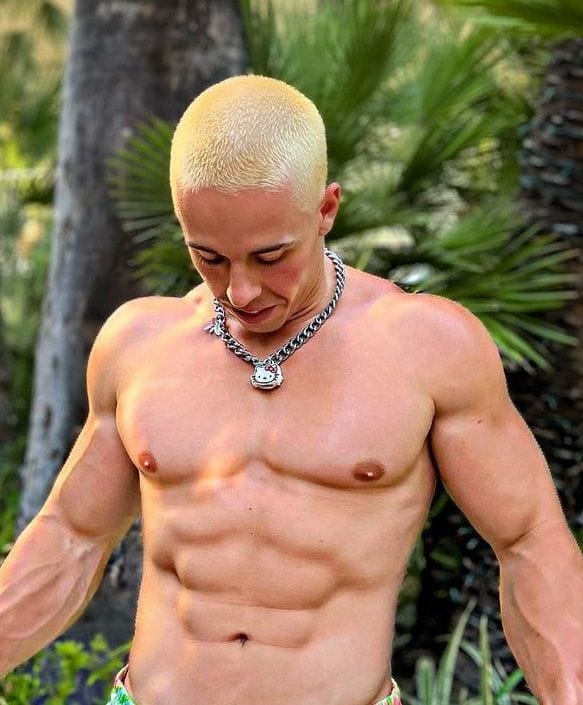 How much is Candy Ken's Net Worth?