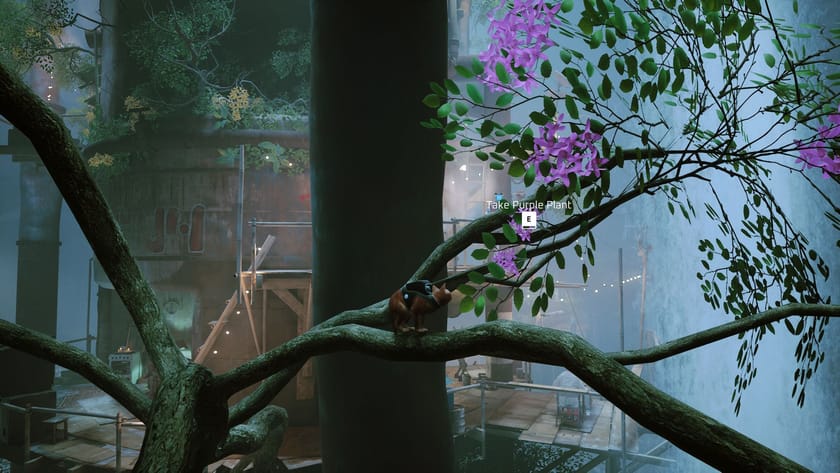 Stray: Where to find all the plants for Malo