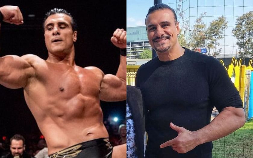 UFC Spanish broadcaster Alberto Del Rio interested in pro wrestling ...