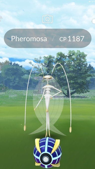 The best moveset for Pheromosa in Pokemon GO