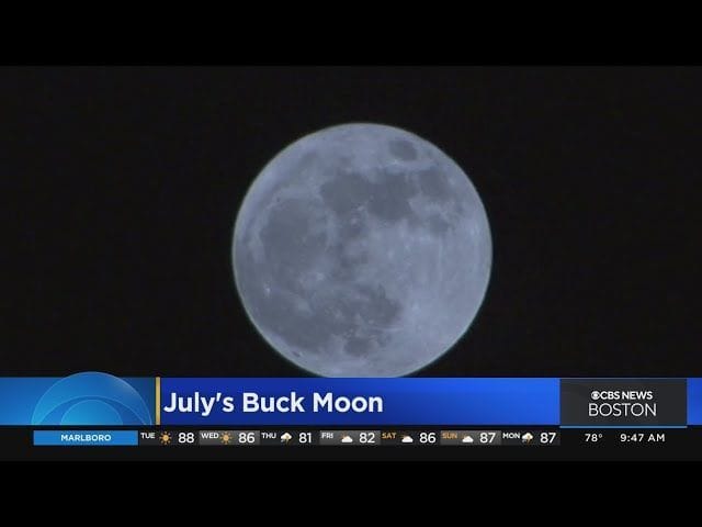 Why is the moon so big tonight? Reason explored as Super Buck Moon ...