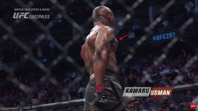 UFC fighter physiques and how to get them