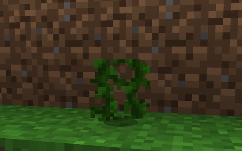How to get vines in Minecraft 1.19 update