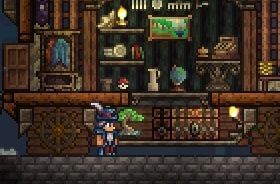 Traveling Merchant in Terraria