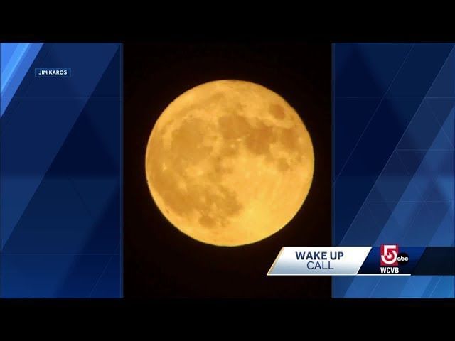 Why is the moon so big tonight? Reason explored as Super Buck Moon ...