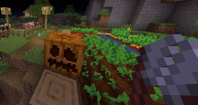 Carved Pumpkin in Minecraft
