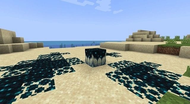Sculk Catalyst