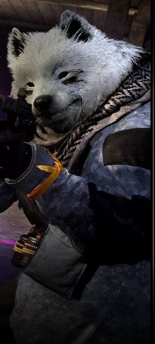 Warzone Season 4 Reloaded might not see the introduction of Dog/Wolf ...