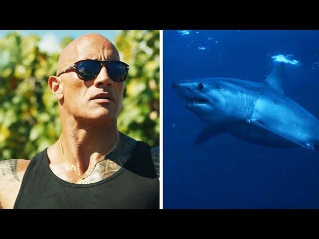 How to watch Dwayne Johnson's Shark Week?