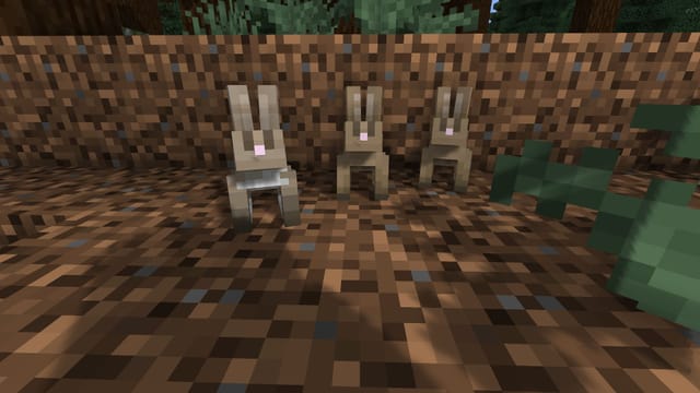 Minecraft 1.19 how to breed rabbits