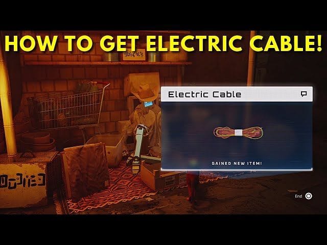 Stray Trophy guide: How to complete Cat’s Best Friend by nuzzling up ...